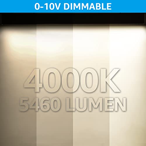 LEONLITE 4FT LED Linear Light Linkable, Anti Glare Office Lighting, 5460lm 0-10V Dimmable Architectural Suspended Lighting Fixture, 100-277V UL Listed, 42W 4000K Cool White, White, Pack of 2