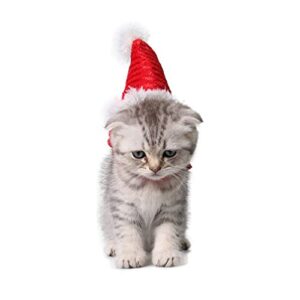 POPETPOP Guinea Pig Costume - Kitten Christmas Hat Pet Christmas Hat Santa Claus Cap Head Accessories for Rabbit Hamster Bunny Rat Kitten Small Animals 2pcs