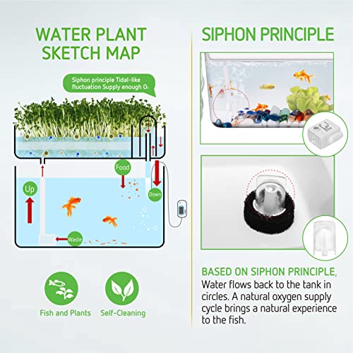 VIVOSUN 3-Gallon Aquaponic Fish Tank, Hydroponic Cleaning Tank for Freshwater Fish to Feed Plants and Plants Clean Tank, Additional Thermostat, Flow Pump, and Ceramsite Included