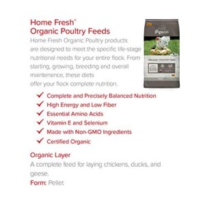 HOME FRESH Chicken Feed - Complete Nutrition for Poultry, High Energy and Protein, Organic Layer Pellet Chicken Food - 40 lb Bag