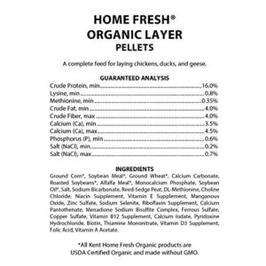 HOME FRESH Chicken Feed - Complete Nutrition for Poultry, High Energy and Protein, Organic Layer Pellet Chicken Food - 40 lb Bag