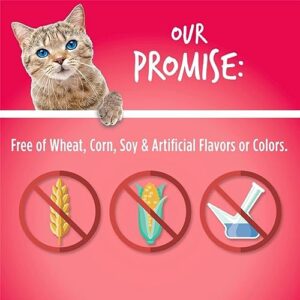 Fruitables Cat Crunchy Treats For Cats – Healthy Low Calorie Packed with Protein – Free of Wheat, Corn and Soy – Made with Real Salmon with Cranberry – 2.5 Ounces