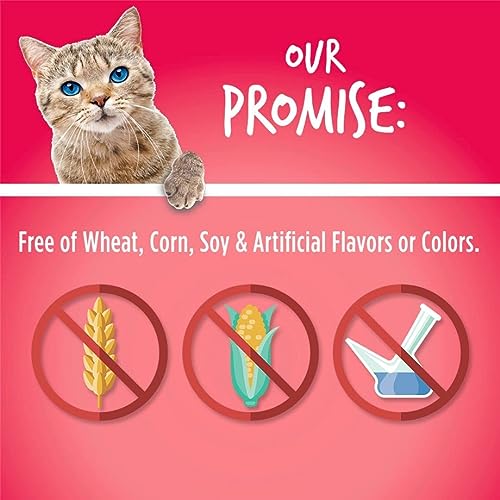 Fruitables Cat Crunchy Treats For Cats – Healthy Low Calorie Packed with Protein – Free of Wheat, Corn and Soy – Made with Real Salmon with Cranberry – 2.5 Ounces