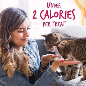 Fruitables Cat Crunchy Treats For Cats – Healthy Low Calorie Packed with Protein – Free of Wheat, Corn and Soy – Made with Real Salmon with Cranberry – 2.5 Ounces