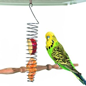 qbleev bird food holder, parrots foraging toys for birdcage, hanging stainless steel bird treat feeders, bird food basket for fruit vegetable grain wheat，chew toys for conures parakeets cockatoos