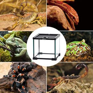 ReptiZoo Mini Reptile Glass Terrarium Tank Full View Visually Appealing Mini Reptile Glass Habitat Cage 8" x 8"x 8"