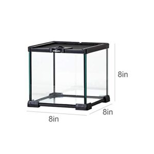 ReptiZoo Mini Reptile Glass Terrarium Tank Full View Visually Appealing Mini Reptile Glass Habitat Cage 8" x 8"x 8"