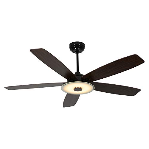 Carro Striker 52'' Smart Ceiling Fan with Remote, Light Kit Included, Works with Google Assistant and Amazon Alexa