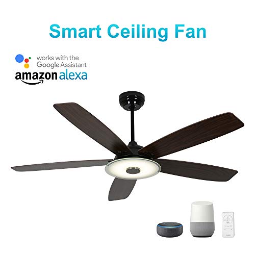 Carro Striker 52'' Smart Ceiling Fan with Remote, Light Kit Included, Works with Google Assistant and Amazon Alexa