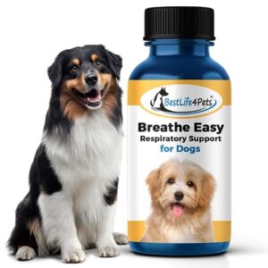 bestlife4pets breathe easy respiratory support for dog - all-natural all-in-one pet supply for natural relief for kennel cough, runny nose, sneezing and sinus congestion - easy to use pills