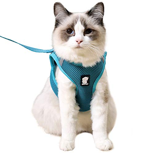 Heywean Cat Harness and Leash - Ultra Light Escape Proof Kitten Collar Cat Walking Jacket with Running Cushioning Soft and Comfortable Suitable for Puppies Rabbits (M, Turquoise)