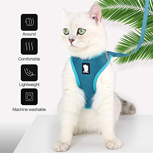 Heywean Cat Harness and Leash - Ultra Light Escape Proof Kitten Collar Cat Walking Jacket with Running Cushioning Soft and Comfortable Suitable for Puppies Rabbits (M, Turquoise)