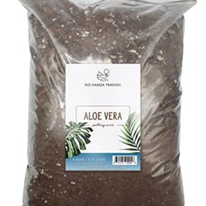 Aloe Vera Soil Blend, Hand Blended Aloe Vera and Succulent Soil Mix, Re-Pots 4-6 Small Plants, 2-4 Medium Plants, or 1-2 Large Plants, All Natural (4qts)