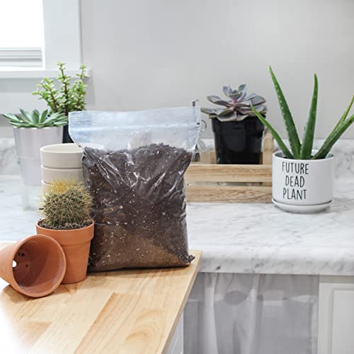 Aloe Vera Soil Blend, Hand Blended Aloe Vera and Succulent Soil Mix, Re-Pots 4-6 Small Plants, 2-4 Medium Plants, or 1-2 Large Plants, All Natural (4qts)