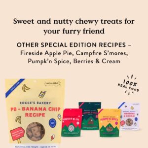 Bocce's Bakery PB Banana Chip Recipe Treats for Dogs, Wheat-Free Everyday Dog Treats, Real Ingredients, Baked in The USA, All-Natural Soft & Chewy Cookies, Peanut Butter, Bananas, & Carob, 6 oz