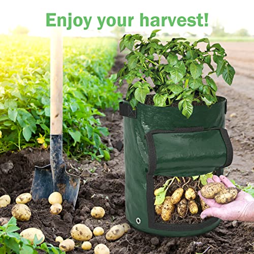 DECORLIFE 6-Pack Potato Grow Bags, 10 Gallon Thick PE Fabric Pots for Plants, Sturdy Handles & Harvest Window, Labels Included, Green