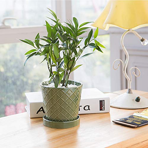 BUYMAX Plant Pots Indoor –5 inch Ceramic Flower Pot with Drainage Hole and Ceramic Tray - Gardening Home Desktop Office Windowsill Decoration Gift, Set of 4-Plants NOT Included (Patina)