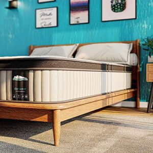 Serweet 10 Inch Memory Foam Hybrid Queen Mattress - Heavier Coils for Durable Support - Pocket Innersprings for Motion Isolation - Pressure Relieving - Medium Firm - Made in North America