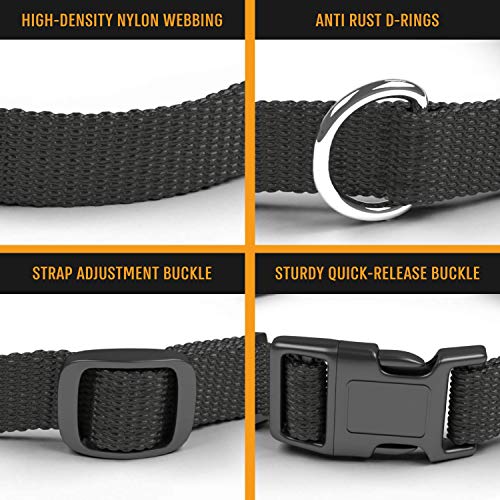 Active Pets Quick Release Dog Collar, Breathable Collar for Dogs, Boy Dog Collars, Girl Dog Collars, Dog Collars for Small Dogs, Large Dog Collar for Males & Females, Small Dog Collar for Puppies (M)