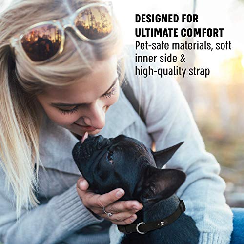 Active Pets Quick Release Dog Collar, Breathable Collar for Dogs, Boy Dog Collars, Girl Dog Collars, Dog Collars for Small Dogs, Large Dog Collar for Males & Females, Small Dog Collar for Puppies (M)