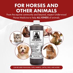 Topical Wound Spray Kit - 16 oz Refill Bottle w/ Baking Powder, Funnel, Spray Trigger, & Shaker - No Sting Antiseptic Spray for Wounds for Faster Healing - Wound Care for Equine and Other Farm Animals