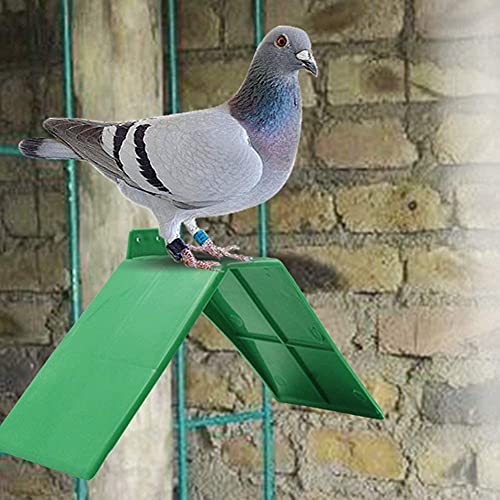 Tbest Pigeon Rest Stand-10pcs Plastic Small Plastic Bird Perch Dove Rest Stand Anti-Skid Perches Roost Frame for Bird Supplies,Green,6.69x6.69x3.94inch