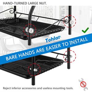 Tohlar Dish Drying Rack Rustproof Dish Racks 2 Tier Kitchen Organizer with Drain Board/Cup Holder Dish Drainer Small Drying Rack