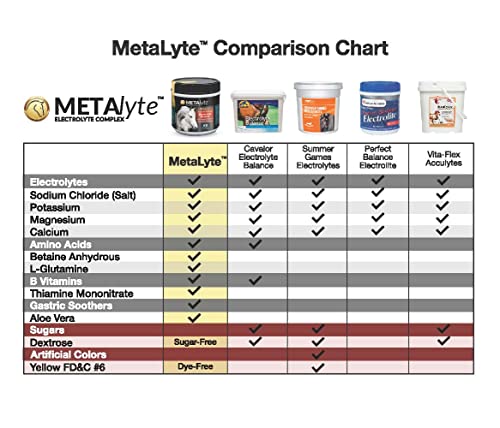 MetaLyte Complete Equine Electrolyte with Gastric Soothing Aloe Vera, Great Tasting Powder Formula (2 lb, 60 Day Supply)