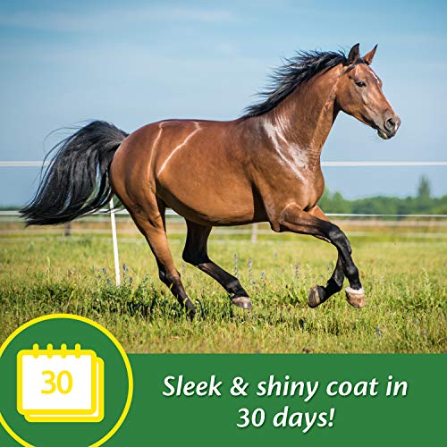 Farnam Super 14 Healthy Skin & Coat Supplement for Horses, Keeps Coats Shiny & Gleaming Year-Round 2.75 Pound, 44 Day Supply