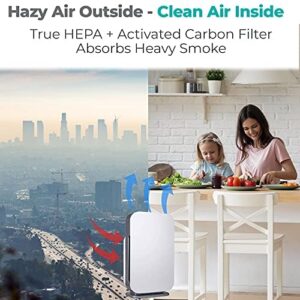 Alen BreatheSmart 45i HEPA Air Purifier With VOC/Smoke Filter, Absorbs Heavy VOCs from Cigarette and Wildfire Smoke. Captures Allergens, Dust, and Mold. Bedrooms, and other rooms up to 800 sq. ft.