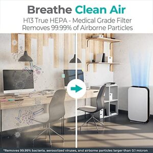 Alen BreatheSmart 45i HEPA Air Purifier With VOC/Smoke Filter, Absorbs Heavy VOCs from Cigarette and Wildfire Smoke. Captures Allergens, Dust, and Mold. Bedrooms, and other rooms up to 800 sq. ft.