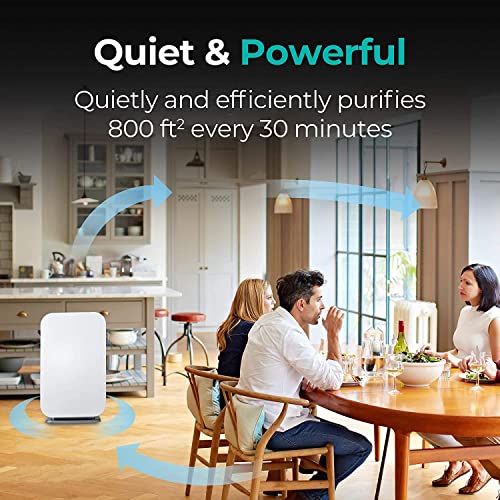 Alen BreatheSmart 45i HEPA Air Purifier With VOC/Smoke Filter, Absorbs Heavy VOCs from Cigarette and Wildfire Smoke. Captures Allergens, Dust, and Mold. Bedrooms, and other rooms up to 800 sq. ft.