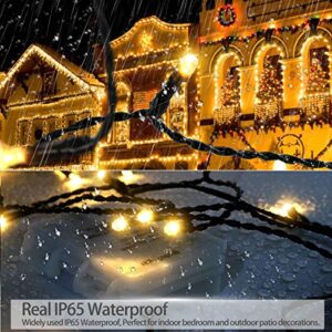 [Remote and Timer] 33FT 100 LED Christmas Lights Battery Operated, Outdoor Christmas Tree String Fairy Lights Green Wire with 8 Modes IP65 Waterproof for Garden, Party, Wedding Decoration (Warm White)