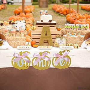 Pumpkin 1st First Birthday Decoration Set, Glitter Pumpkin One High Chair Banner, Little Pumpkin First Birthday Banner for Kids Girls Boys First Pumpkin Theme Birthday Decorations