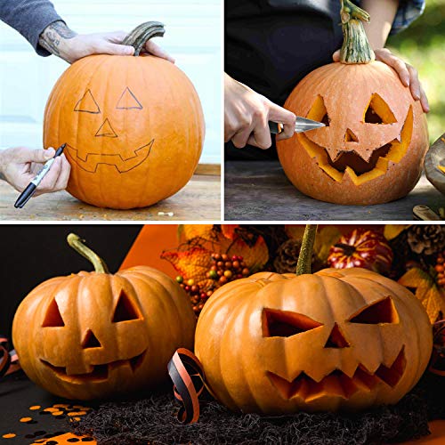 Moocii Pumpkin Carving Knife for Halloween DIY Decoration Pumpkin Carver 10 Pieces Pumpkin Carving Knives and Forks Tools Stainless Steel Double-Side Sculpting Tool Carving Knife Set