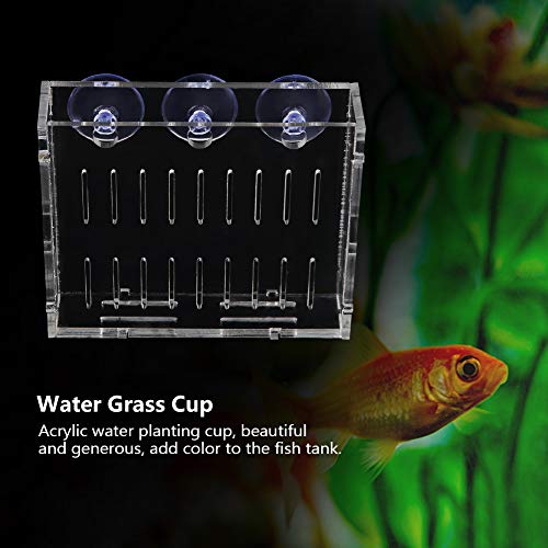 Exquisite Transparent Water Grass Cup, Safe 3 Suction Cups Design Aquarium Plant Cup, Tank Aquarium Aquarium Tank Decor for Landscape Plants Cultivation