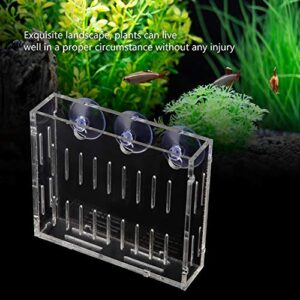 Exquisite Transparent Water Grass Cup, Safe 3 Suction Cups Design Aquarium Plant Cup, Tank Aquarium Aquarium Tank Decor for Landscape Plants Cultivation