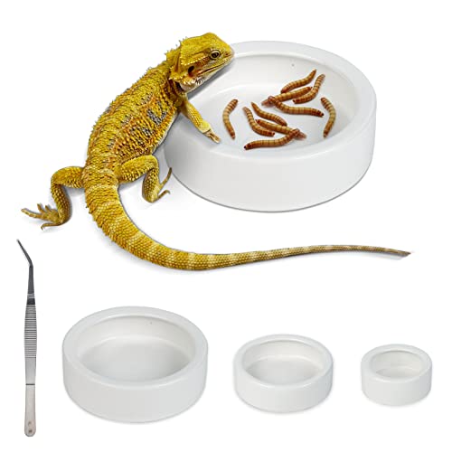 Ceramic Reptile Food and Water Bowl Set of 3,Mini Reptile Feeding Dish,Worm Dish for Lizard Anoles Bearded Dragons(with Tweezer)