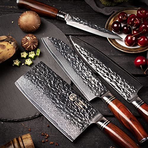 YARENH Cleaver Knife Set with Magnetic Block, 5 Piece Professional Sharp Chef Knives for Kitchen, Damascus Stainless Steel, 73 Layers, Full Tang, Sandalwood Wood Handle