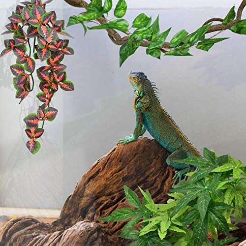 KATUMO Reptile Plants, 3 PCS Amphibian Hanging Plants with Suction Cup for Snake, Bearded Dragons, Lizards, Geckos, Toads, Hermit Crab Tank Pets Habitat Decorations