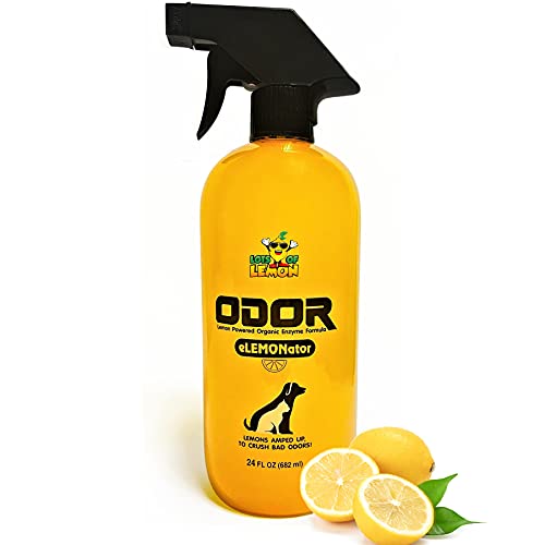 Lots of Lemon - Pet Odor Eliminator for Home - Professional Strength Citrus Infused Enzyme Powered Urine Odor Eliminator for Carpet, Furniture, Hardwood Floors & Rugs - Small Dogs