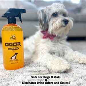 Lots of Lemon - Pet Odor Eliminator for Home - Professional Strength Citrus Infused Enzyme Powered Urine Odor Eliminator for Carpet, Furniture, Hardwood Floors & Rugs - Small Dogs