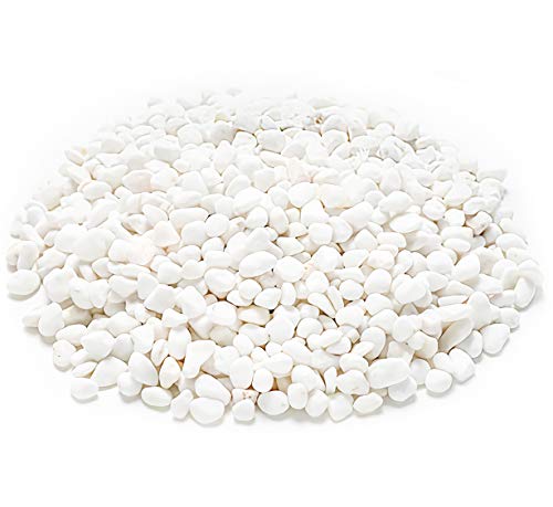 WUWEOT 6-lb White Decorative Bean Pebbles, 0.2" Natural Gravel Rocks for Plants, Succulents, Vases, Aquariums and Terrariums