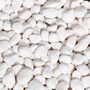 WUWEOT 6-lb White Decorative Bean Pebbles, 0.2" Natural Gravel Rocks for Plants, Succulents, Vases, Aquariums and Terrariums