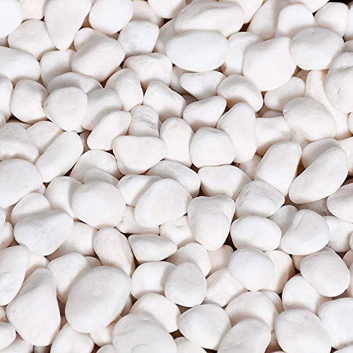 WUWEOT 6-lb White Decorative Bean Pebbles, 0.2" Natural Gravel Rocks for Plants, Succulents, Vases, Aquariums and Terrariums