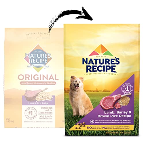 Nature’s Recipe Original Dry Dog Food for Adult Dogs, Lamb & Rice Recipe, 12 lb Bag