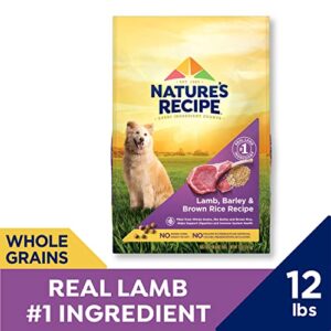 Nature’s Recipe Original Dry Dog Food for Adult Dogs, Lamb & Rice Recipe, 12 lb Bag