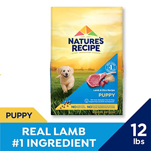 Nature′s Recipe Dry Puppy Food, Lamb & Rice Recipe, 12 lb. Bag