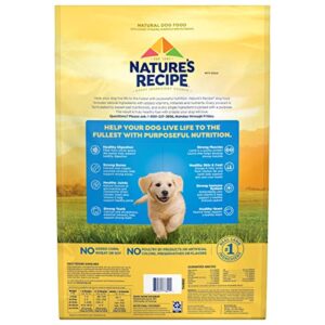 Nature′s Recipe Dry Puppy Food, Lamb & Rice Recipe, 12 lb. Bag