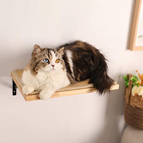 FUKUMARU Cat Wall Shelves, 16 x 10 Inch Cat Wall Furniture with Sisal Mat, Solid Rubber Wood Floating Wall Shelf with Upgraded Installation, Cat Window Perch for Sleeping, Playing and Scratching